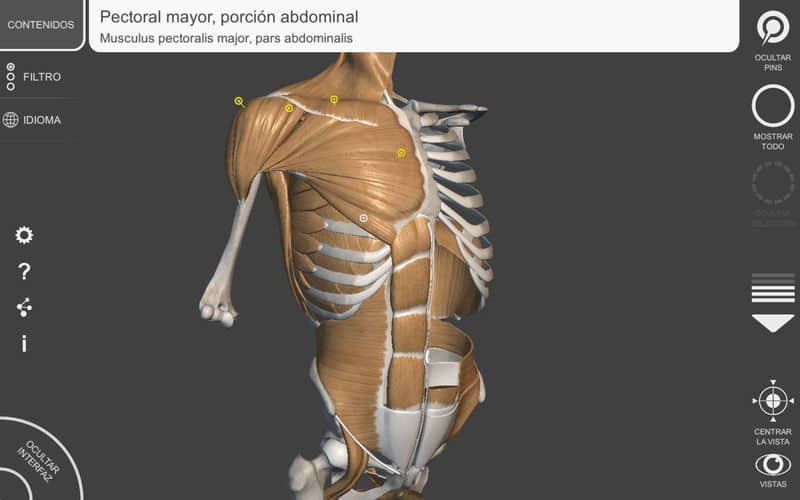 Descargar la aplicación Anatomía 3D para Mac gratis