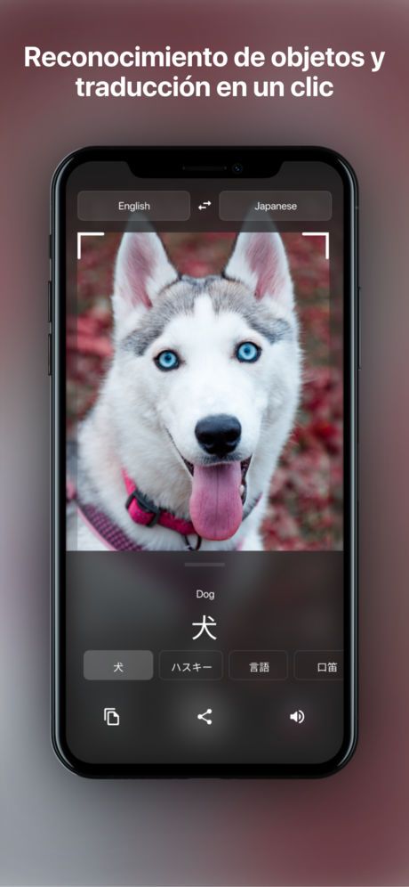 Descargar Magic Translator, toma una foto y traduce